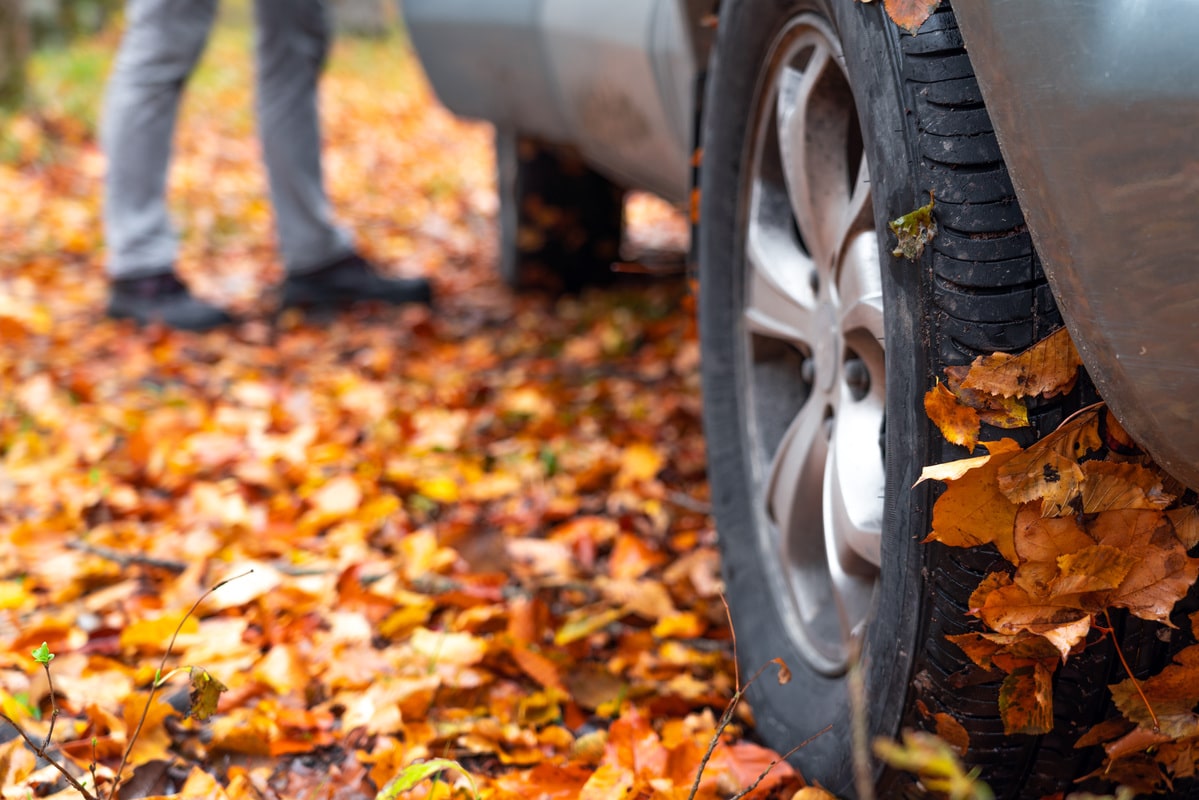 Autumn Car Servicing Tips Every Driver Should Know